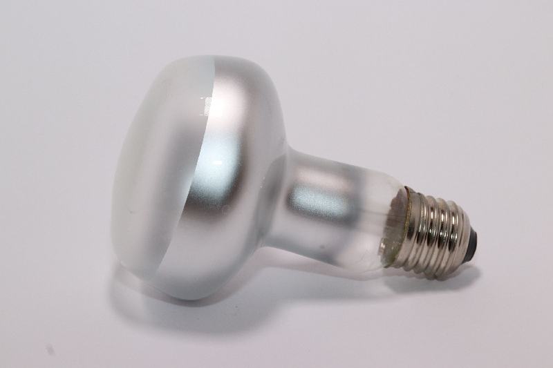 Basking light – Reptile Garden SA Online Shop